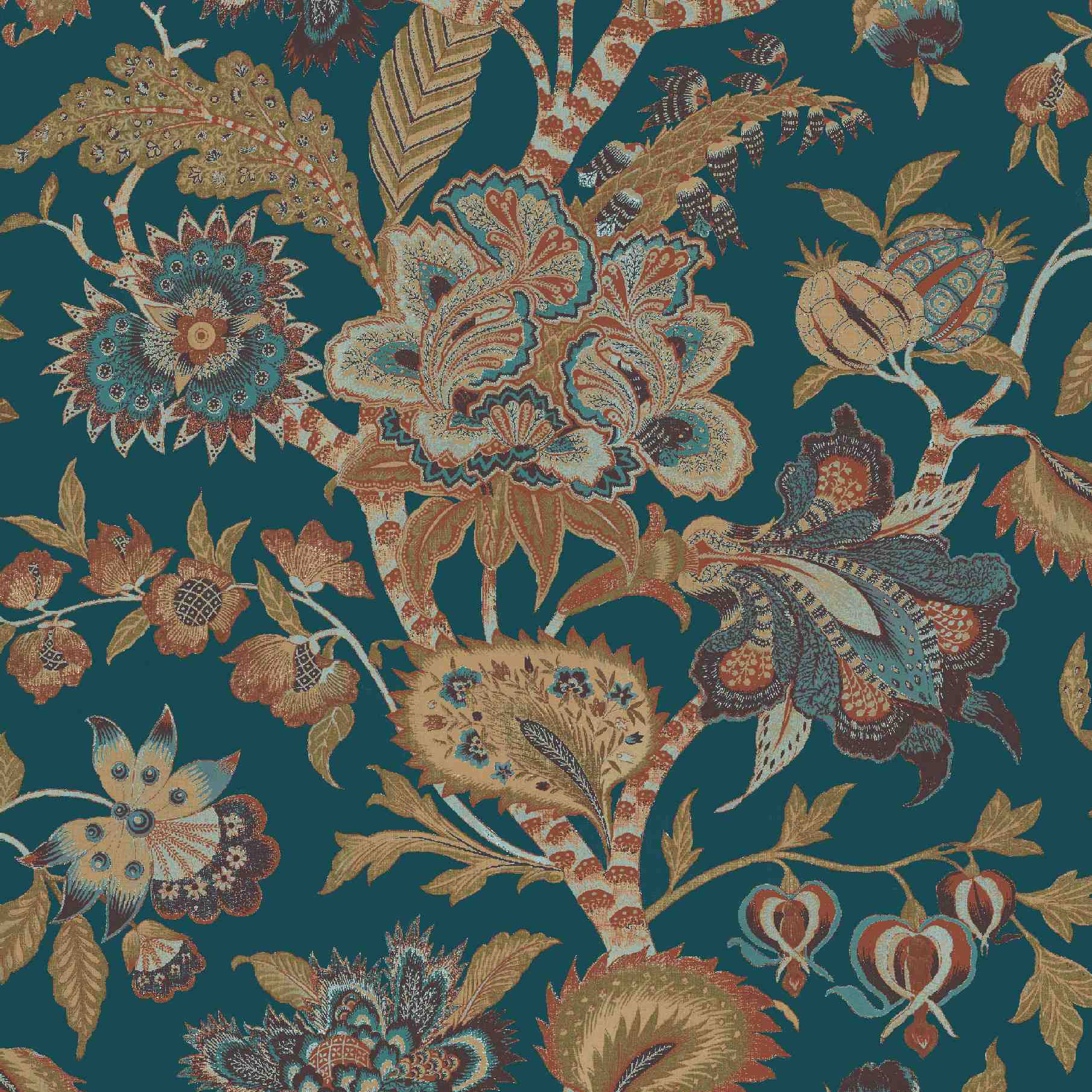 Baby Bombay - Aqua 5 – Arley House
