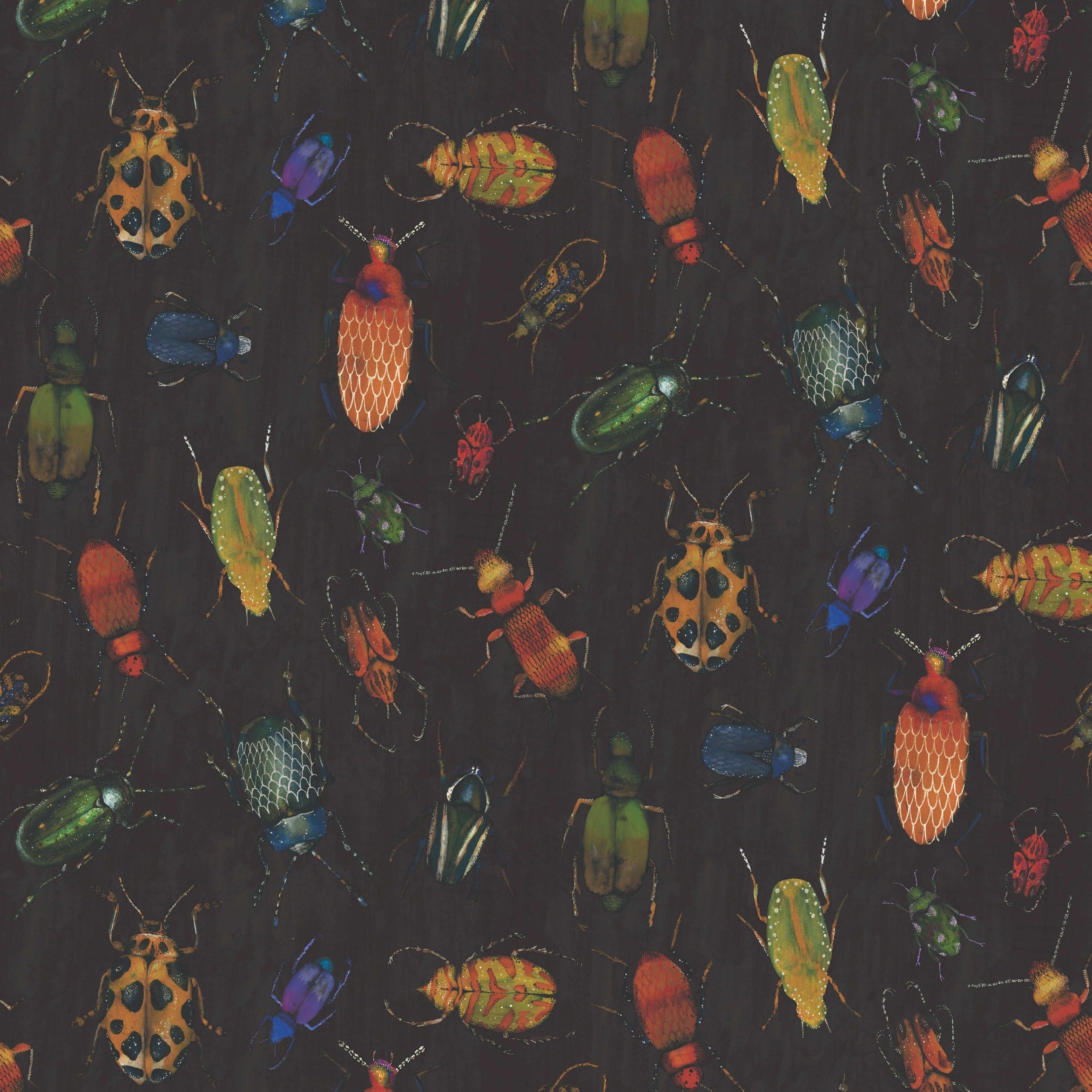 Beetle - Ink 1 – Arley House